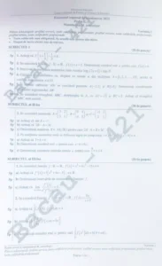 subiecte-matematica-bac-2023-tehnologic-626×1024 | Meditatii online ...